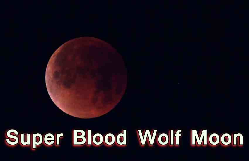 Super Blood Wolf Moon Lunar Eclipse 2019: यहां देखें साल का पहला सुपर ...