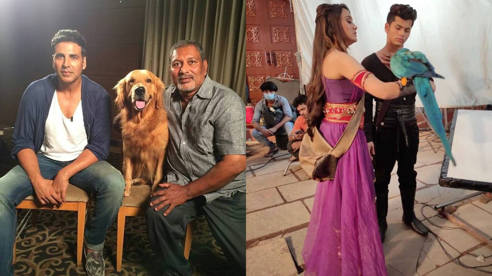 Aamir Khan's Thugs of Hindostan Donkey to Salman’s film Prem Ratan Dhan ...
