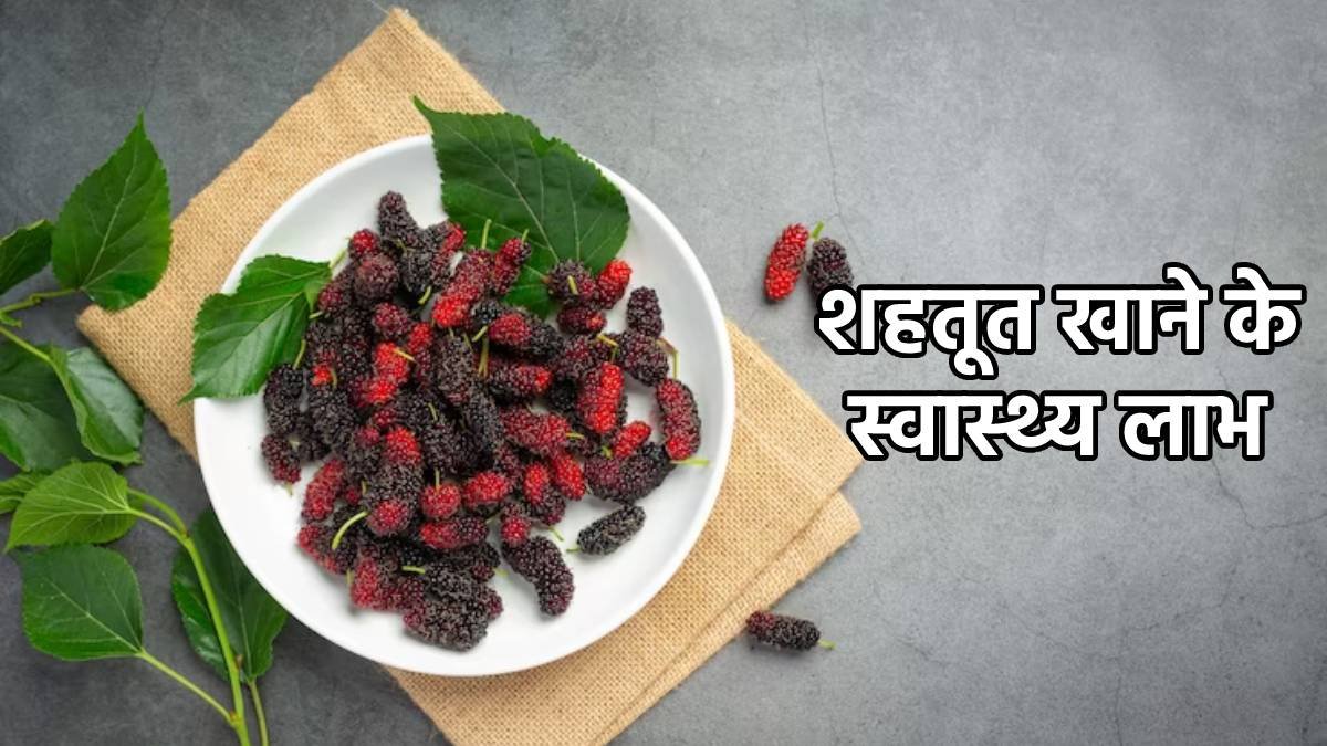 Benefits Of Shahtoot।health benefits of mulberry। Shahtoot Ke Fade ...