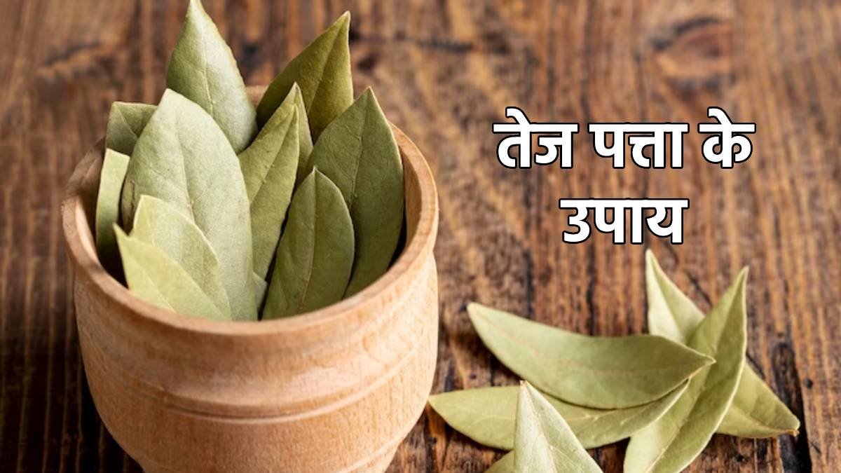 Tej Patta Ke Upay। तेज पत्ता के उपाय। तेज पत्ता के टोटके | Jansatta
