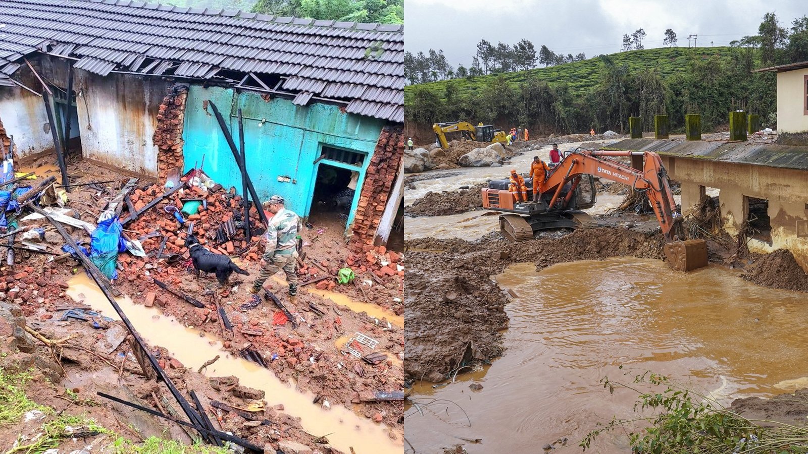 Wayanad Landslide: Search, rescue operation enter Day 5, death toll is ...