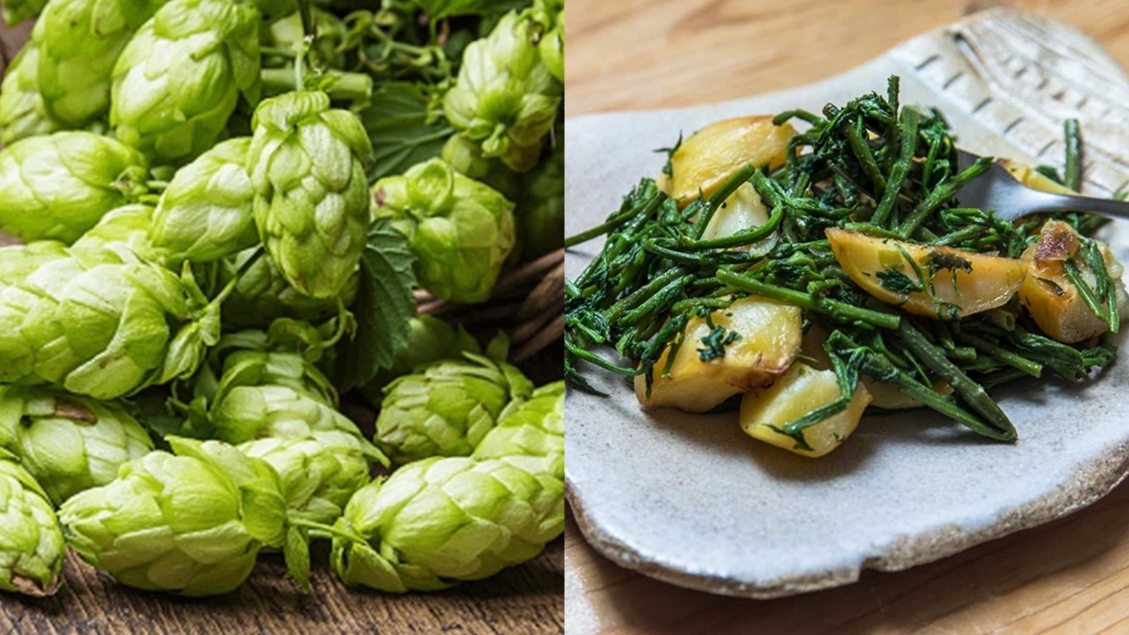 World most expensive vegetable Hop Shoots Costlier Than A iPhone | Jansatta