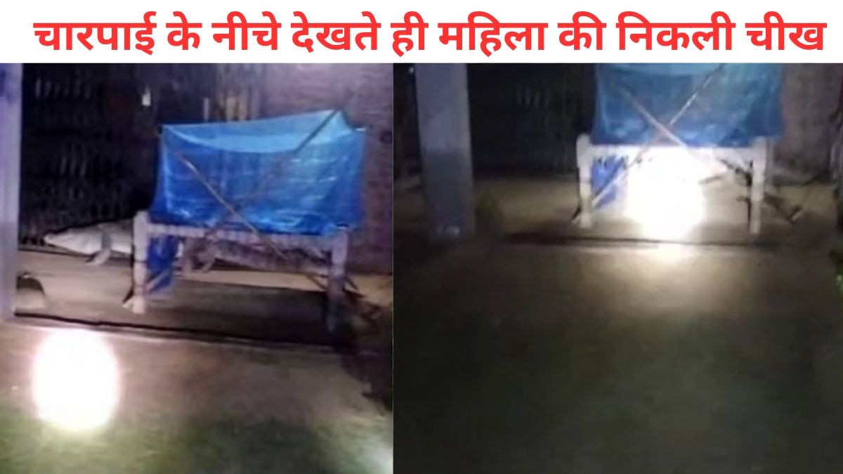 bahraich woman sleeping bed sudden shaking Crocodile found viral video watch here -गहरी नींद में ...