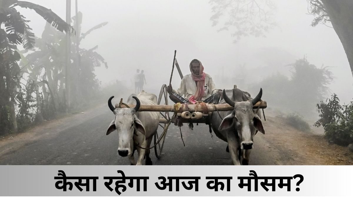 महाराष्ट्र और गुजरात में भीषण गर्मी का अनुमान, IMD ने जारी किया अलर्ट | Jansatta