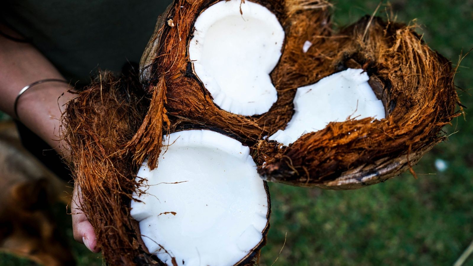 Health Benefits of Raw Coconut That Will Surprise You - कच्चा नारियल ...