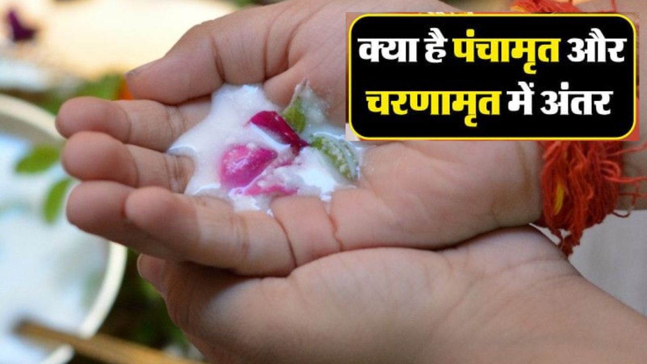 पंचामृत और चरणामृत में क्या है अंतर? श्रीकृष्ण जन्माष्टमी से पहले जानें ...