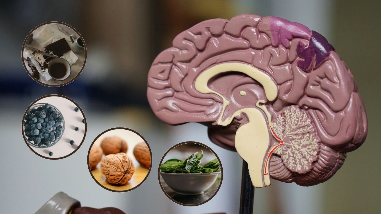 Eat These 10 Superfoods for a Healthy and Active Brain - ब्रेन हेल्थ के ...