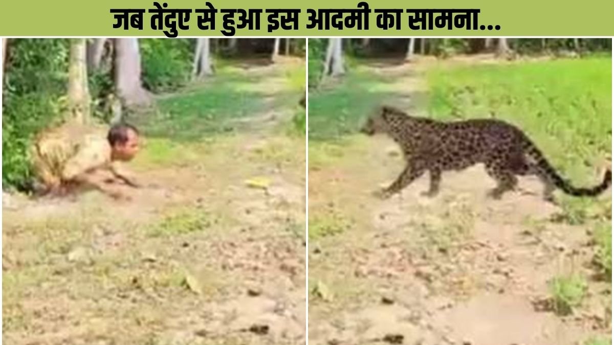 leopard face man use his mind and save life video goes viral - तेंदुए ...