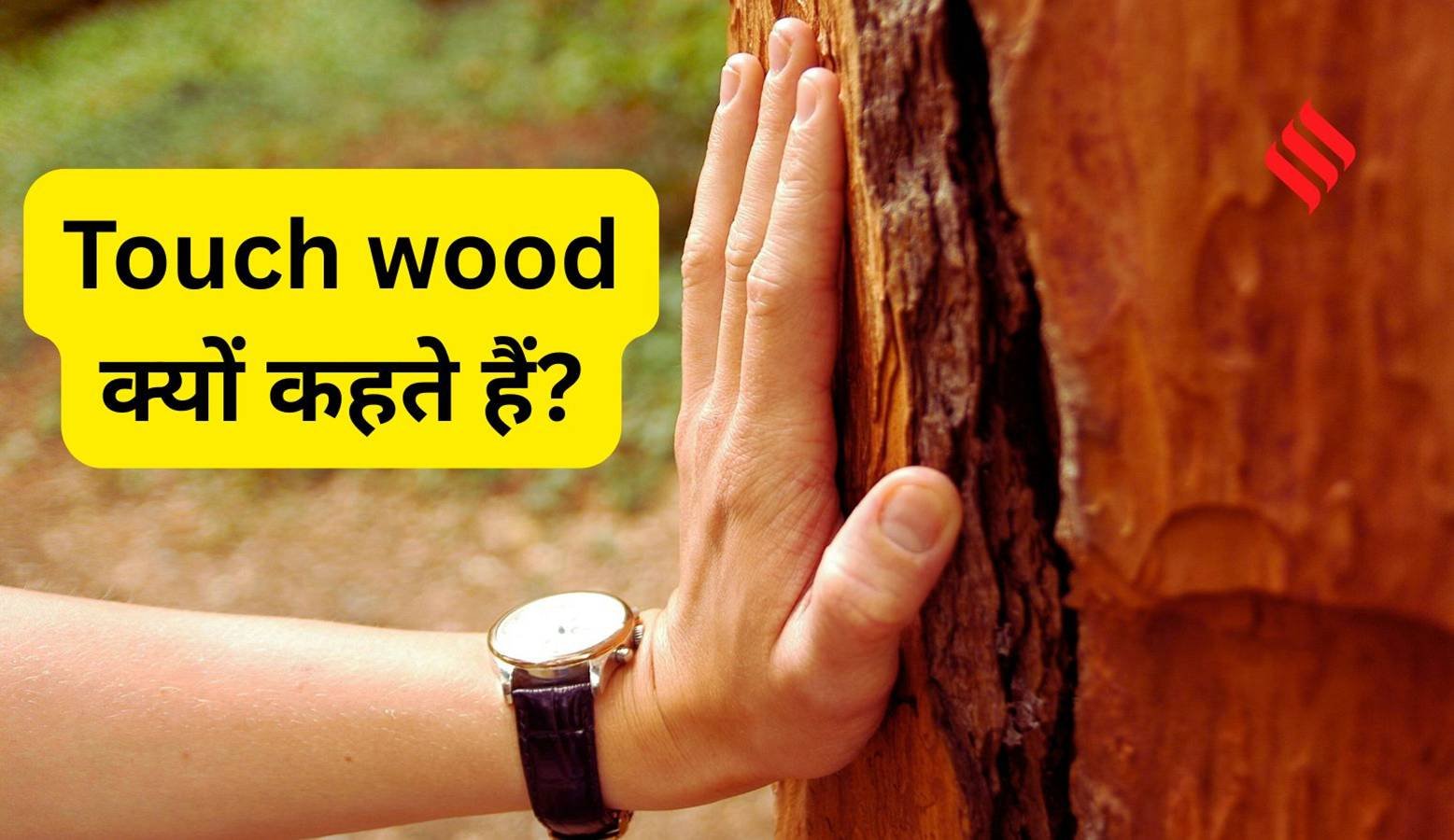 Why Do We Say Touch Wood How Did It Start and What Does It Mean? टच वुड क्यों कहा जाता है, कैसे ...