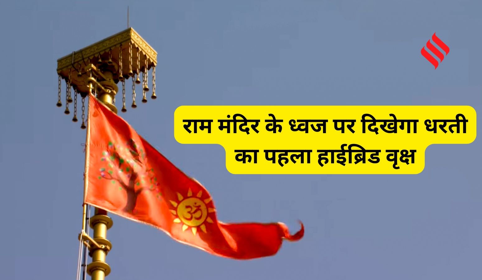 What the Symbol on Ram Mandir Flag Represents Spiritual Meaning and ...