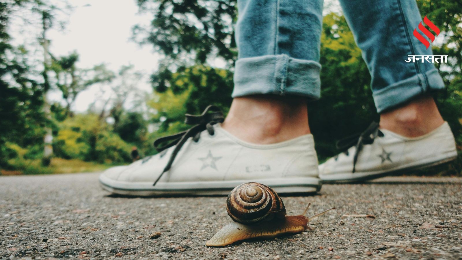 Why Slow Walking Is a Powerful Exercise for Your Daily Routine - स्लो ...
