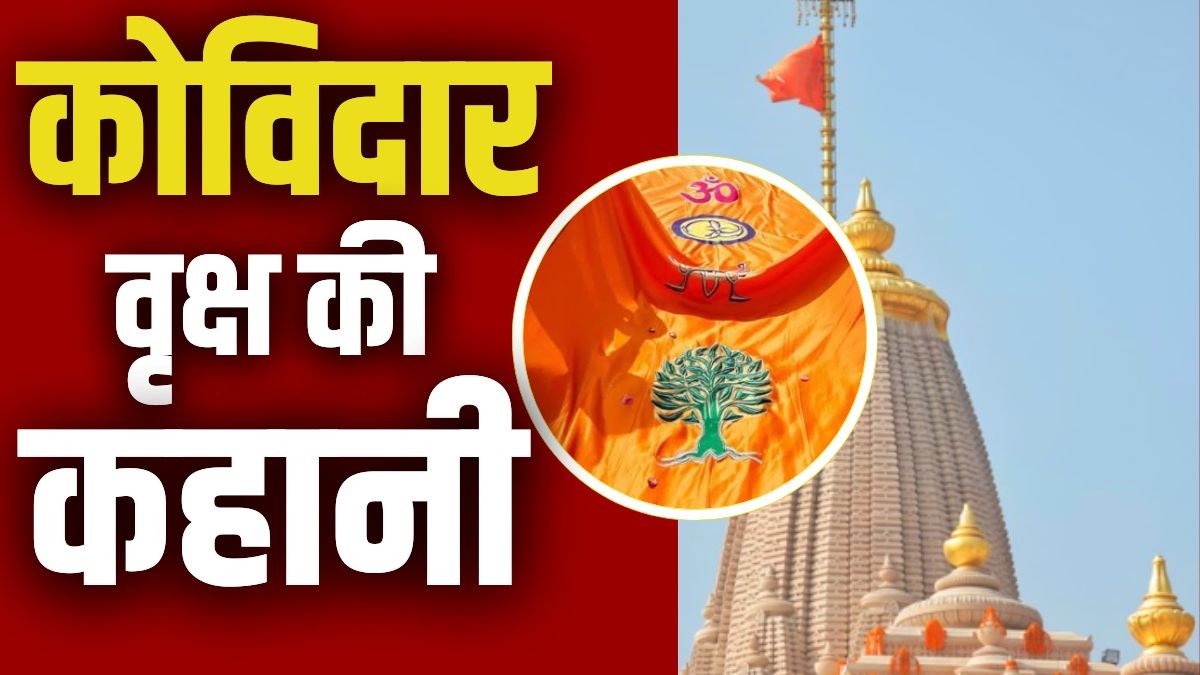 importance of kovidar tree depicted on ram temple flag | कोविदार वृक्ष ...