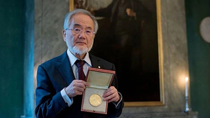 Nobel Laureate Yoshinori Ohsumi’s Research Explains How the Body ...